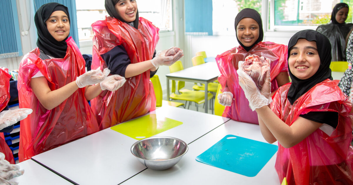 Dixons Manningham Primary | Curriculum